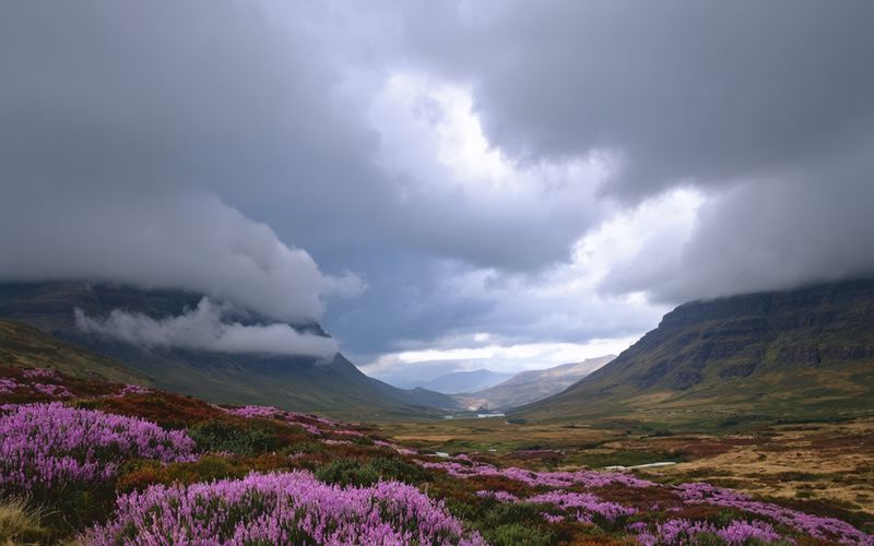 PhotoRefine | Transform Your Photos with AI